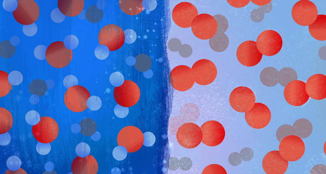 Amplify Science Pilot 6–8 domain - Amplify