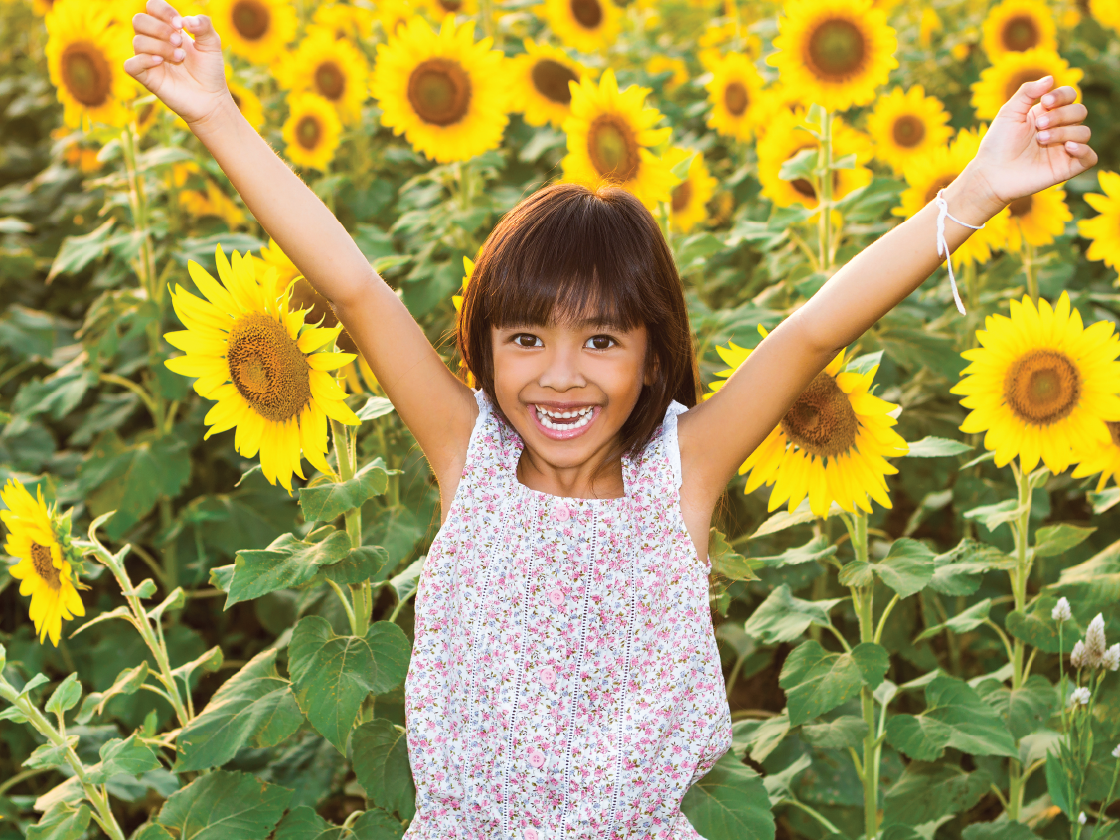 Amplify CKLA Preschool - PreK Core Knowledge Language Arts
