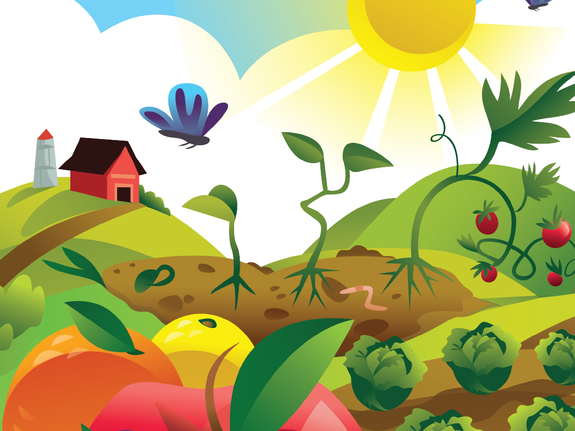 Amplify CKLA K–2 I Kindergarten to 2nd Grade Core Knowledge Language Arts