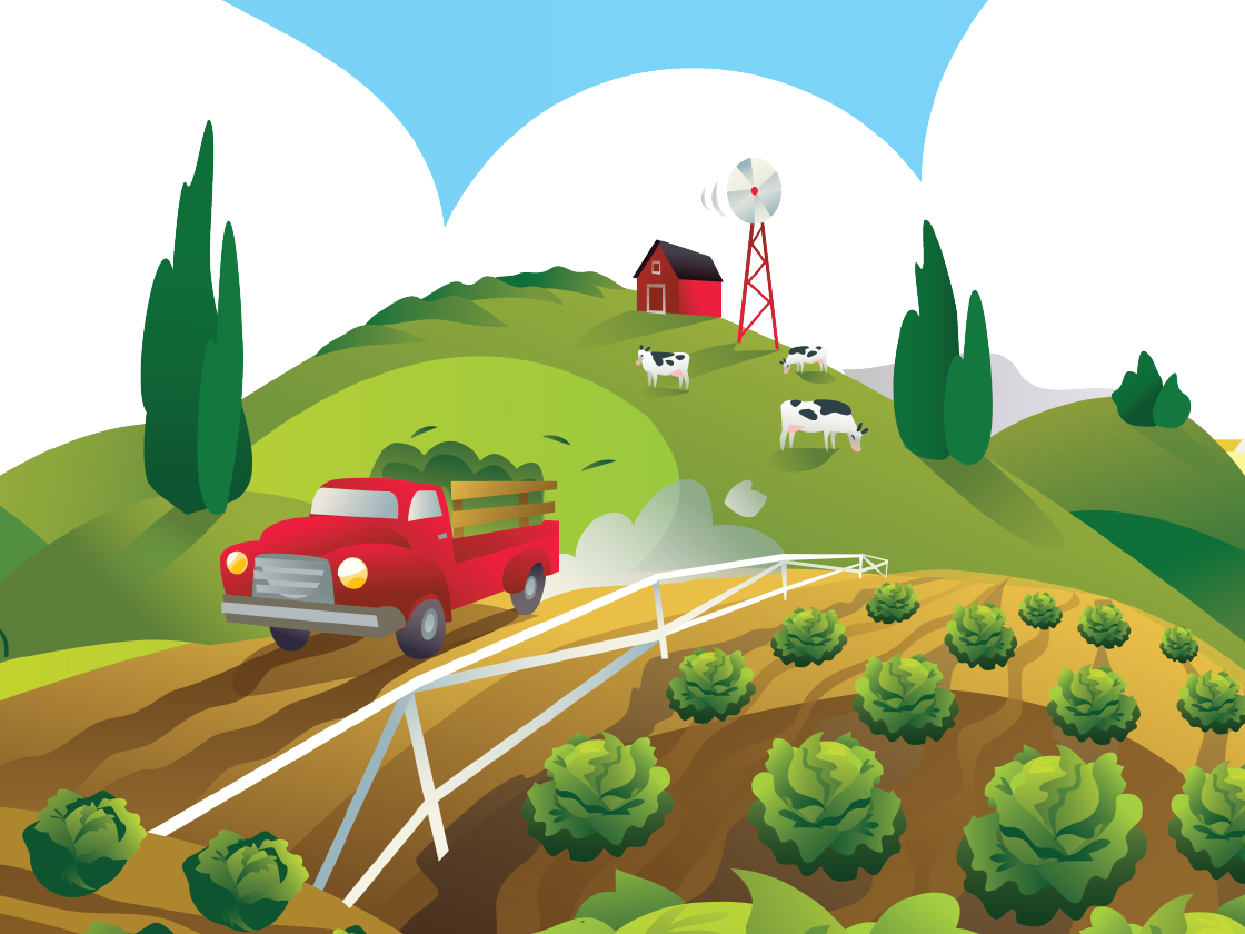 Amplify CKLA K–2 I Kindergarten to 2nd Grade Core Knowledge Language Arts